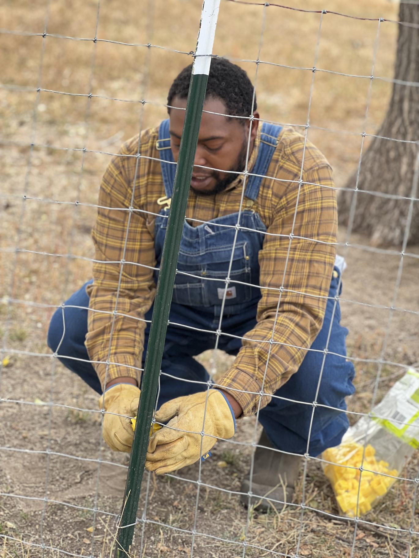 Colorado's Very Own Regenerative Black Rancher